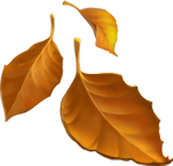 Download Emoji Emojisticker Autumn Leaves - Fall Leaves Emoji ...