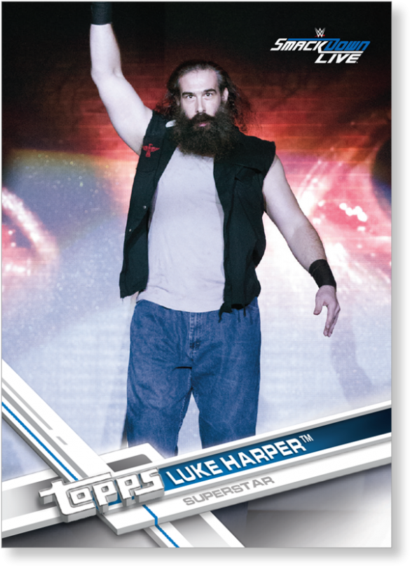 Download Luke Harper - Wwe - Full Size PNG Image - PNGkit