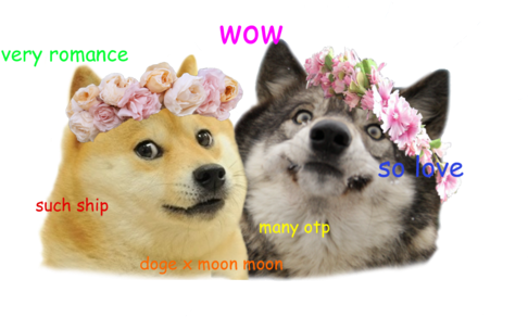 Download Moon Moon Doge - Moon Moon And Doge - Full Size PNG Image - PNGkit