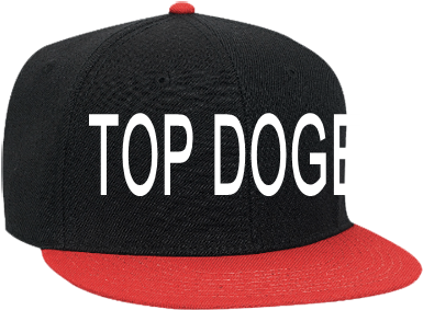 Download Snapback Flat Bill Hat - Top Doge Hat - Full Size PNG Image ...