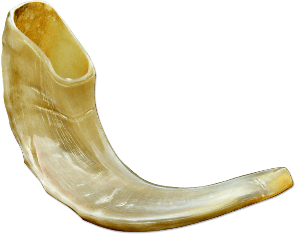 Download Small Ram Horn Shofar - Shofar - Full Size PNG Image - PNGkit