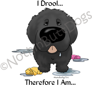 Download Newfie I Drool - Newfiedroollight Square Sticker 3" X 3 ...