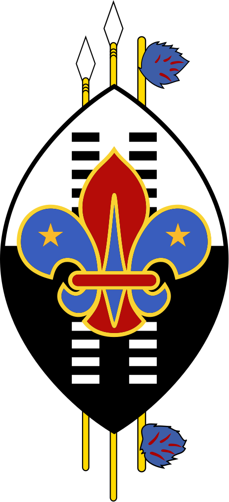 Download Fileswaziland Boy Scouts Association - Boy Scout Of Niger ...