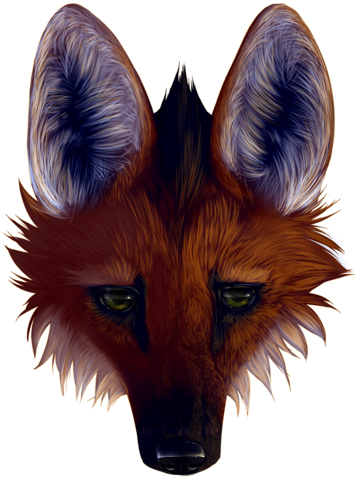 Download Maned Wolf By Lunamach Maned Wolf, Fox Art, Wild Dogs ...
