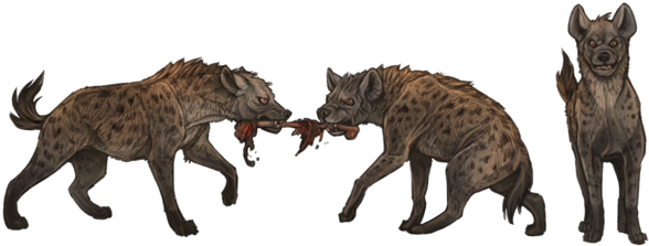 Download Scavenginghyenasday - Lioden Hyena - Full Size PNG Image - PNGkit