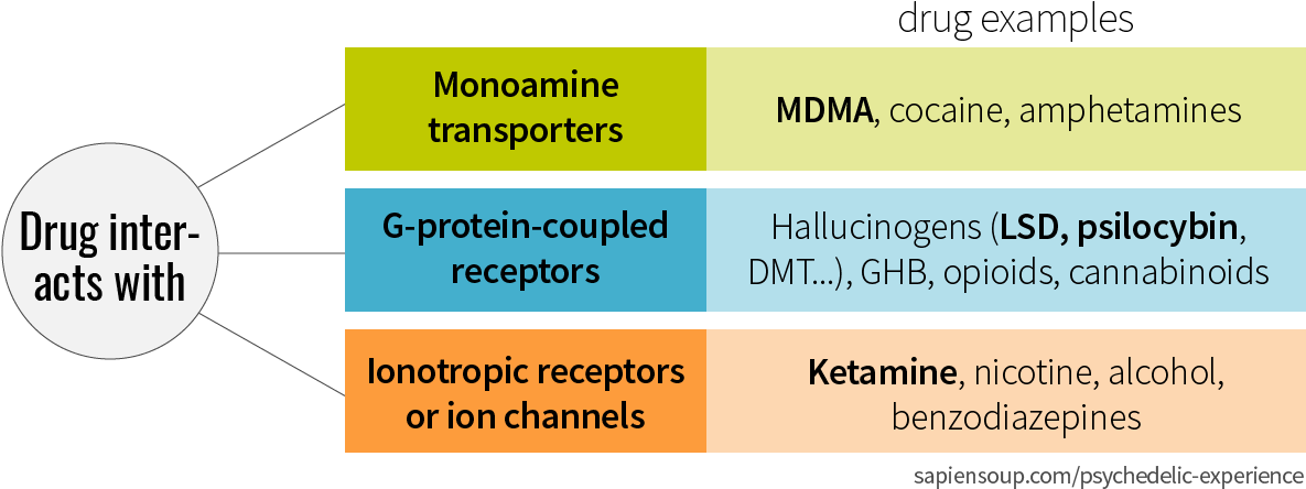 Download Drugs Classification By Monoamine Transporter, G-protein ...