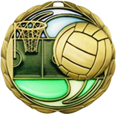 Download Ms911g Gold Netball Medal 64mm - Full Size PNG Image - PNGkit