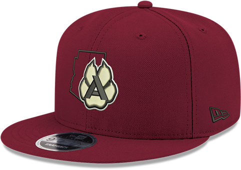 Download Nhl Arizona Coyotes Native State Outline New Era 9fifty ...