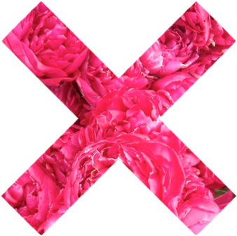 Download Flowers, Pink, And X Image - Pink X Png - Full Size PNG Image ...