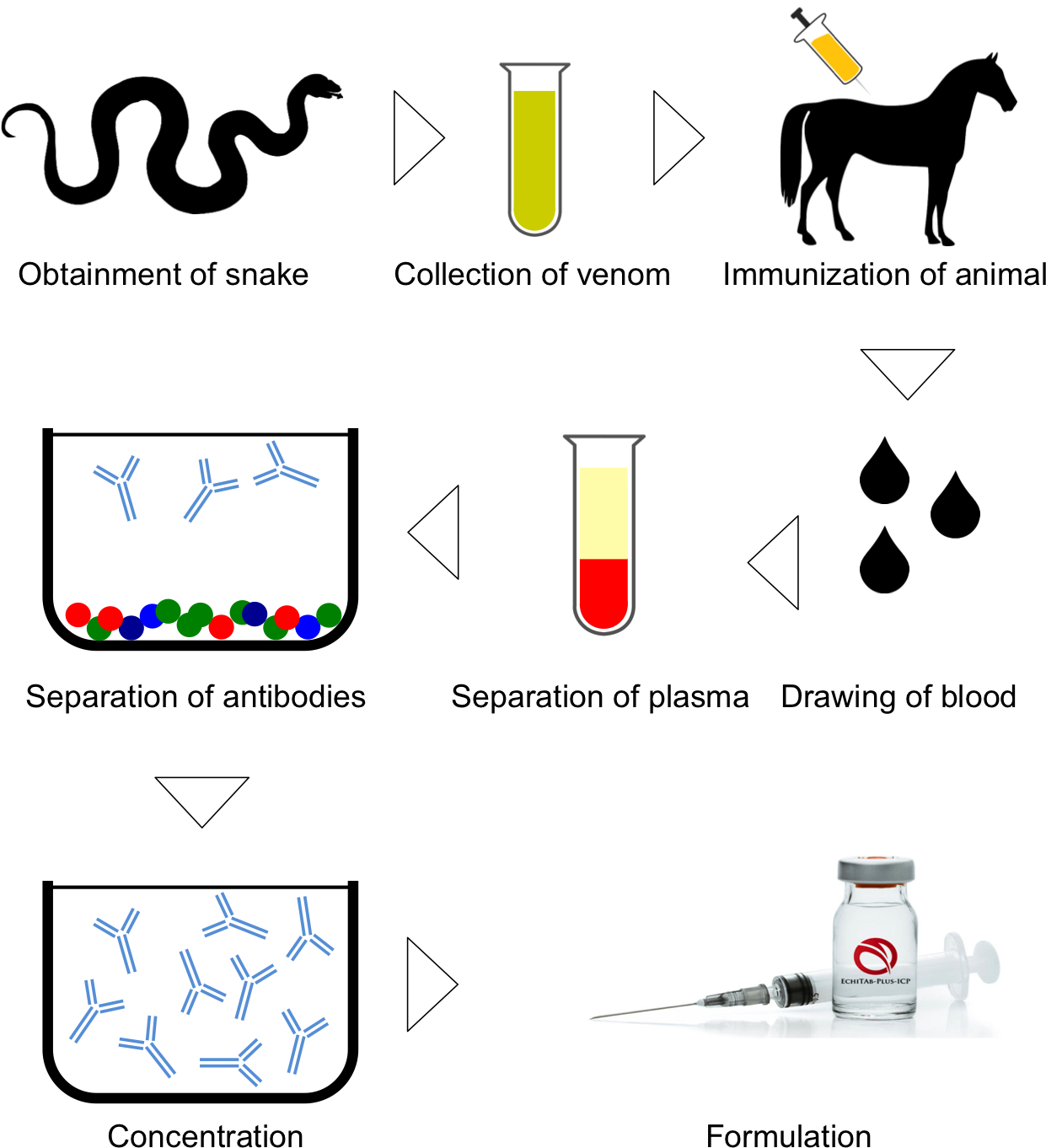 Download Schematic Representation Of Serum-based Antivenom Production ...