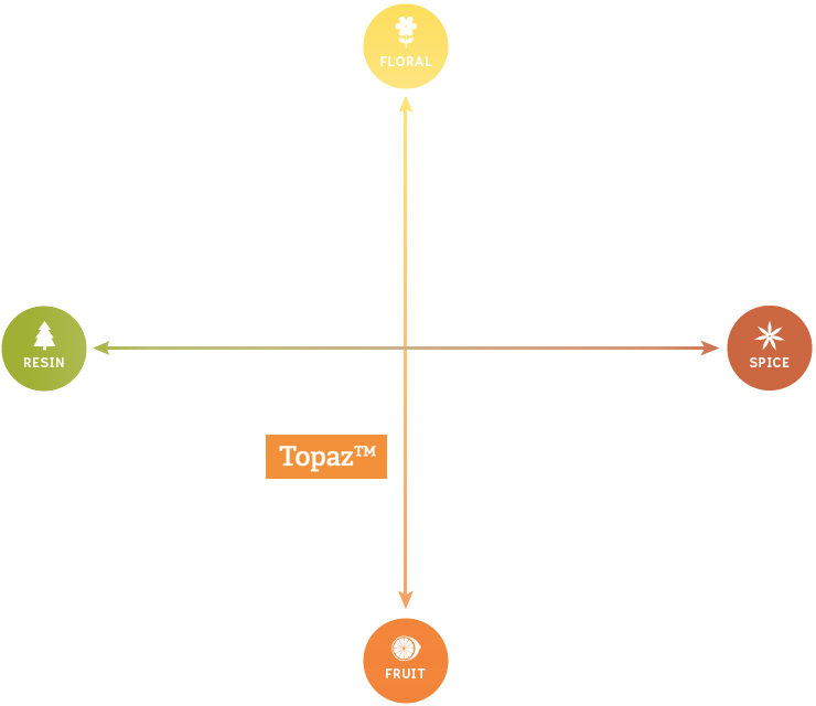 Download Analytical Data, Amount - Hop Flavour Spectrum - Full Size PNG ...