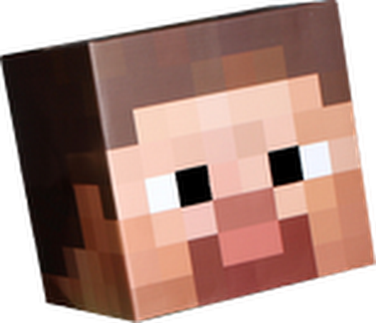 Download Photo - Minecraft Steve Head Transparent - Full Size PNG Image ...