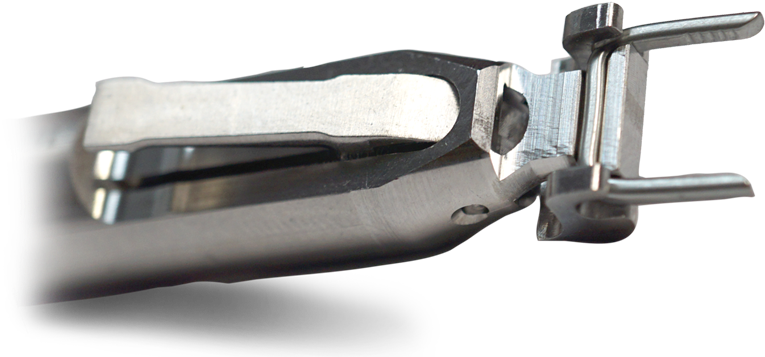 Download Nipper - Full Size PNG Image - PNGkit