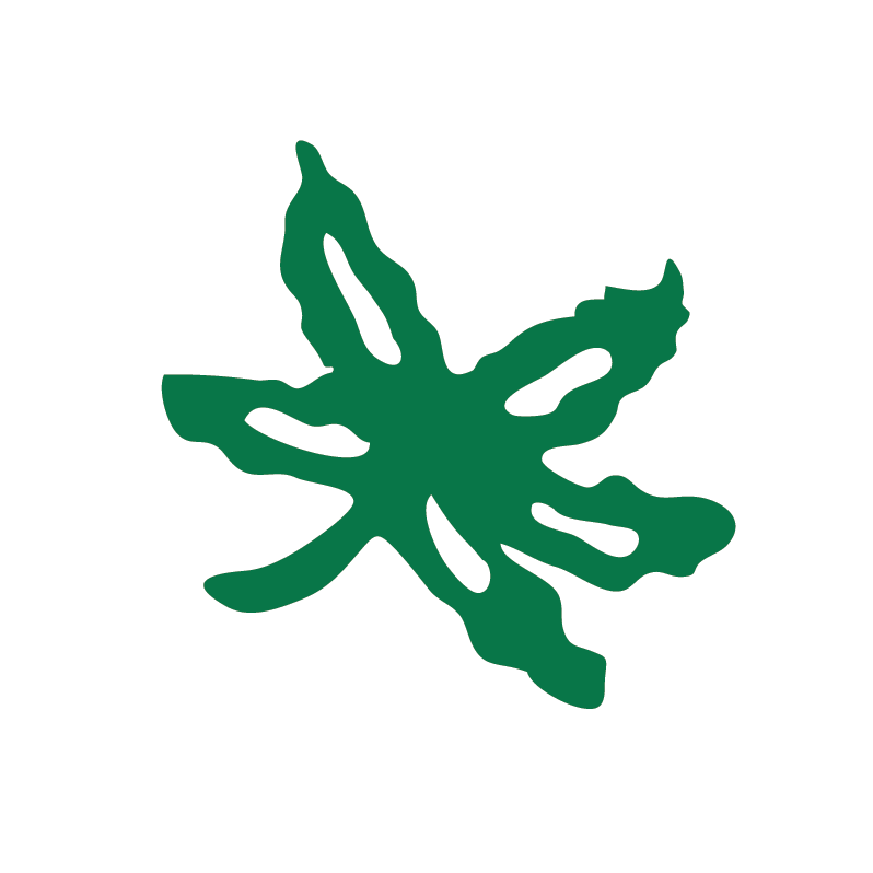 Download Transparent Ohio State University Buckeyes Logo Iron On ...