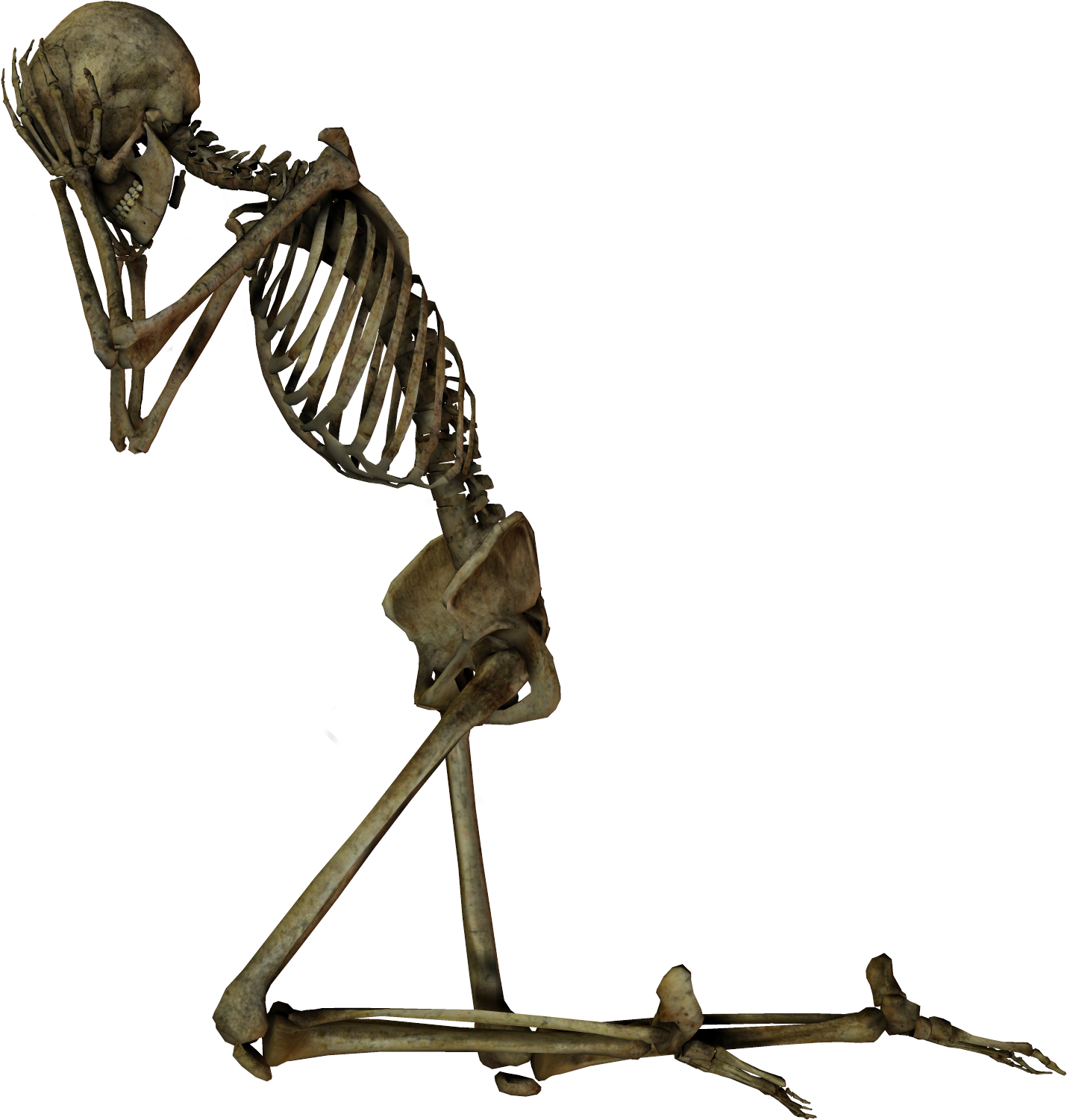 Download Stock Images Png Clip Transparent Stock - Stock Photo Png ...