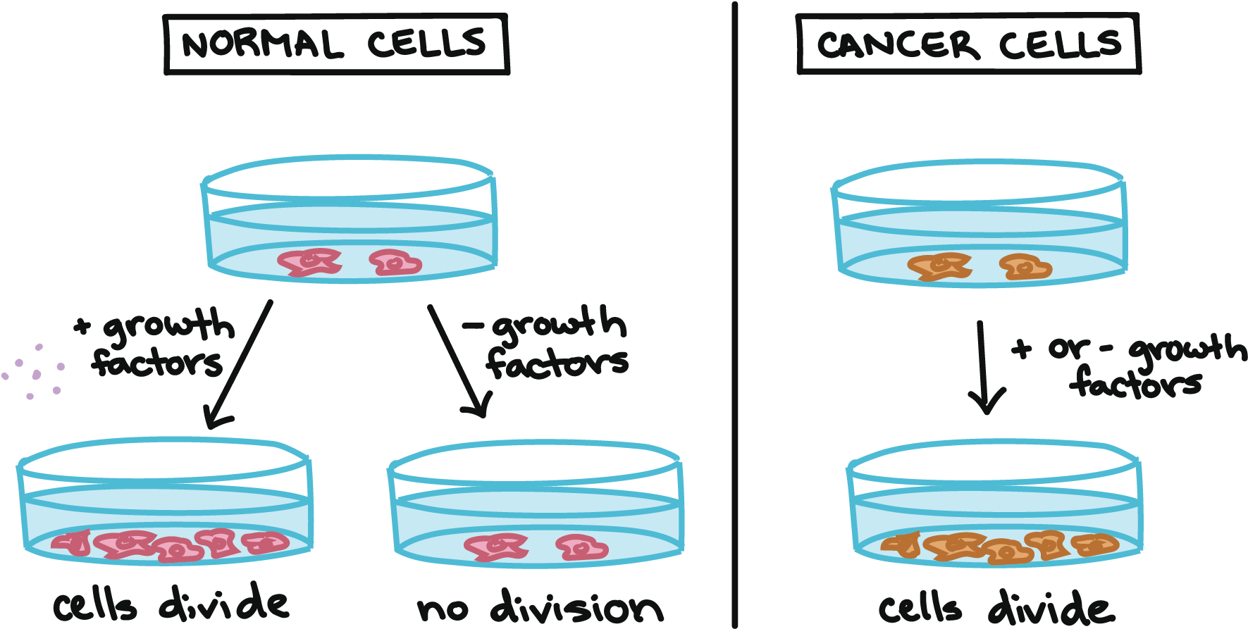 Download Transparent Clip Art Free Library Cancer Clipart Body Cell ...