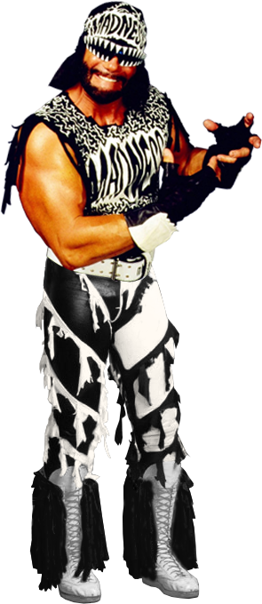 Download Nwo Png - Wwe - Ultimate Macho Man Randy Savage Collection ...
