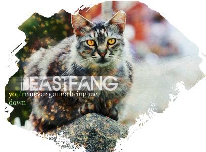 Download Tabby Cat - Full Size PNG Image - PNGkit