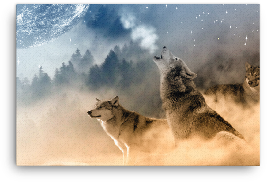 Download Wolves Canvas - Full Size PNG Image - PNGkit