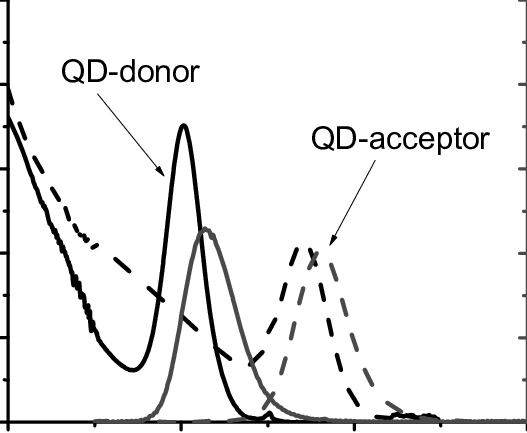 Download Absorption And Pl Spectra (gray Lines) Pbs Qds With - New ...