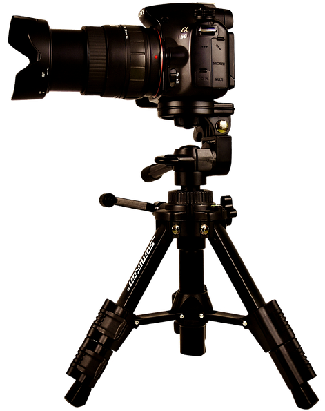 Download You Must Have A Professional Camera For The Best Pictures ...