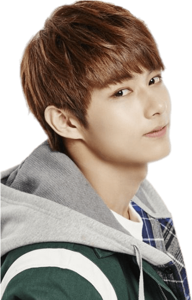 Download Seventeen Jun - Moon Jun Hui Photoshoot - Full Size PNG Image ...