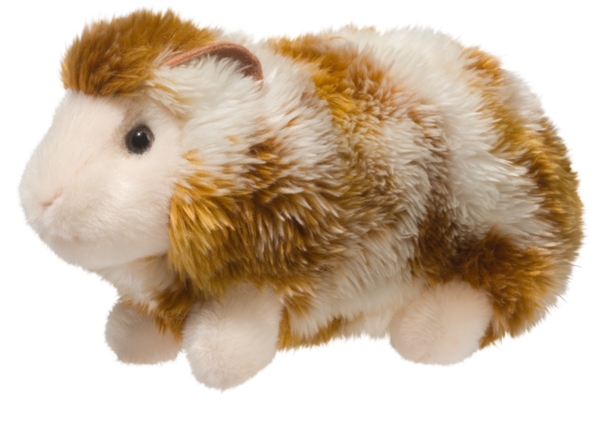 Download Douglas Toys Abner Guinea Pig - Full Size PNG Image - PNGkit
