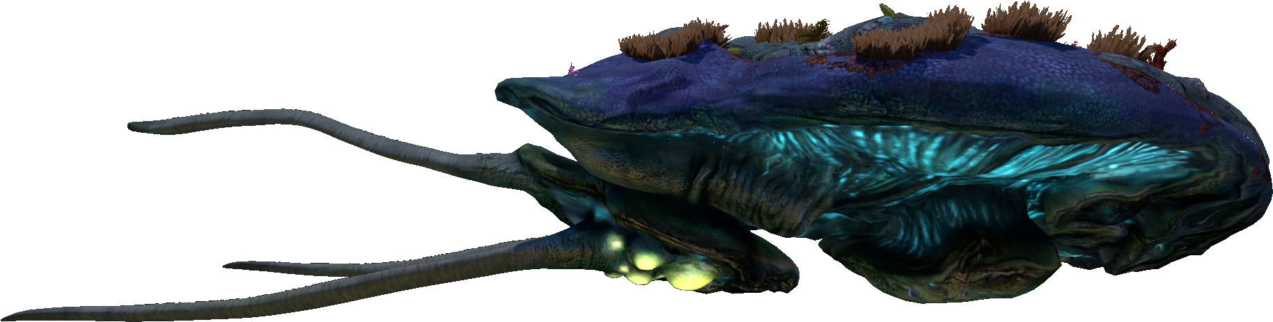 Download Reefback Fauna - Fauna - Full Size PNG Image - PNGkit