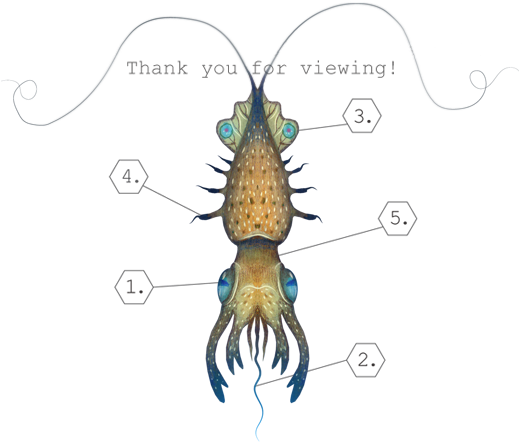 Download Thank You - Squid - Full Size PNG Image - PNGkit