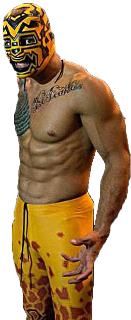 Download Prince Puma Png - Wrestler - Full Size PNG Image - PNGkit