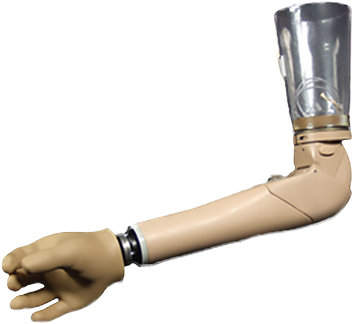 Download Orthotics & Prosthetics, - Full Size PNG Image - PNGkit