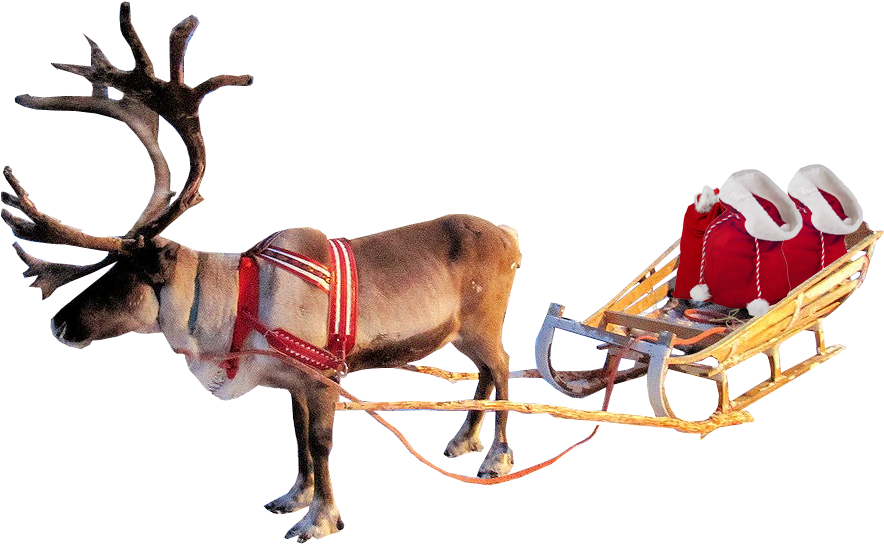 Download Reindeer Transparent Background - Full Size PNG Image - PNGkit