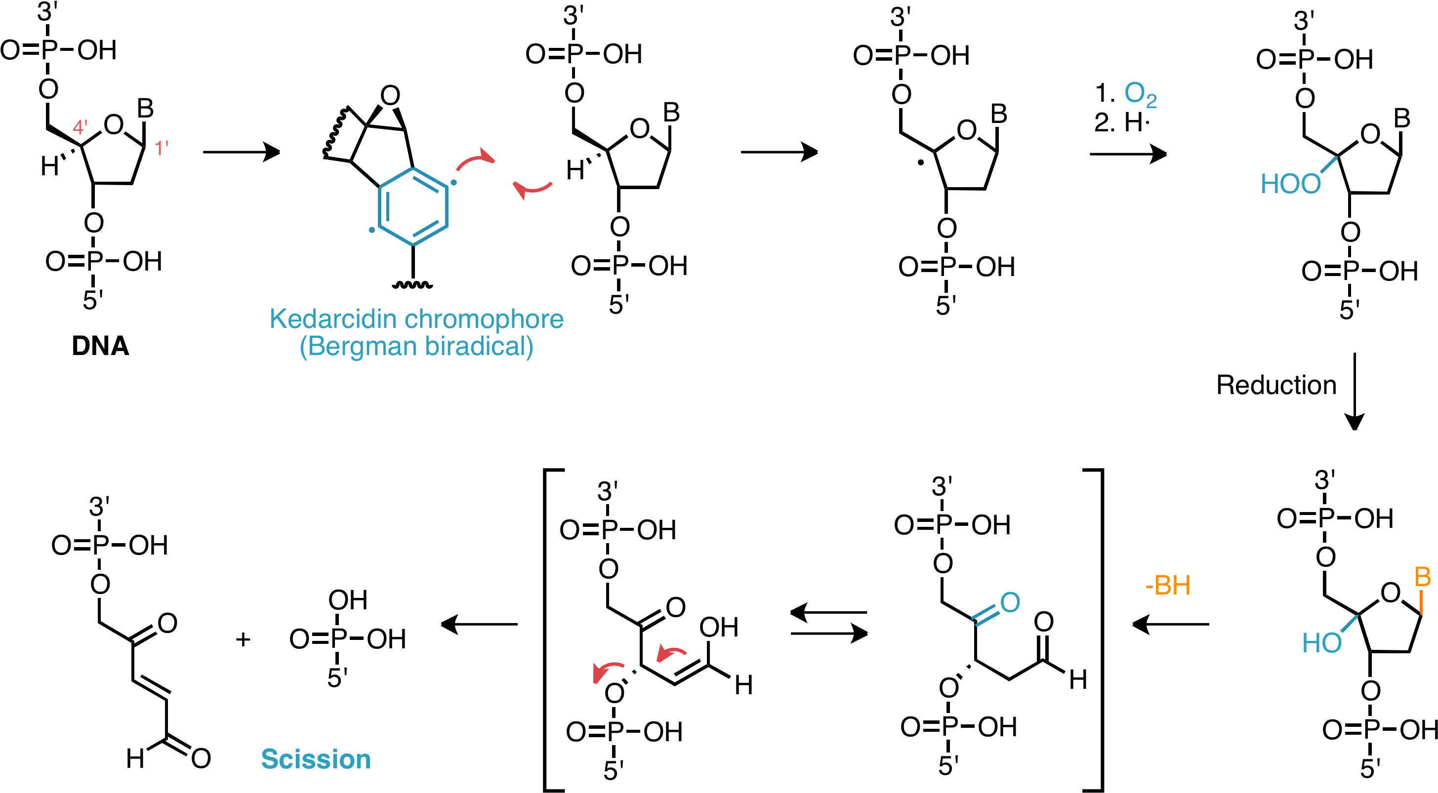 Download Dna Damage Mechanism - Radical Dna Damage Mechanism - Full ...