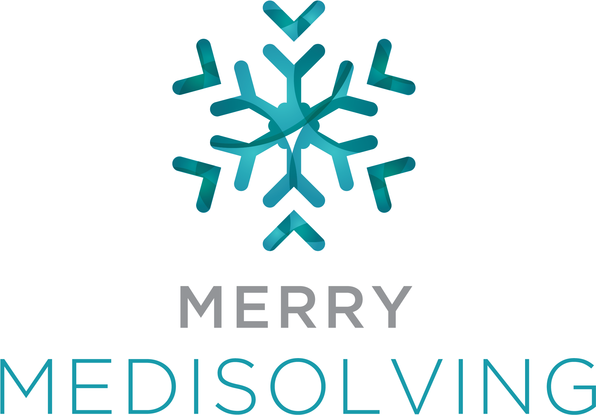 Download Niki Seling From Upper Chespeake Health - Snowflake Logo ...