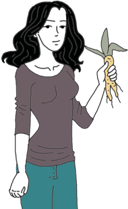 Download Queen Elizabeth Root, Whole - Illustration - Full Size PNG ...