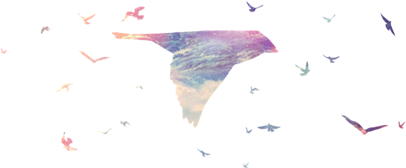 Download Humpback Whale - Full Size PNG Image - PNGkit