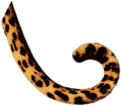 Download Transparent Png Royalty Free Library Tail Png Images Pluspng ...