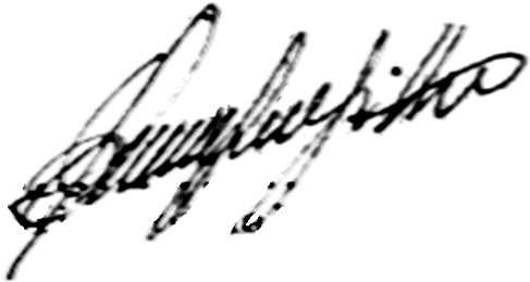 Download Ministerial Superior Sig - Minister Of Magic Signature - Full ...