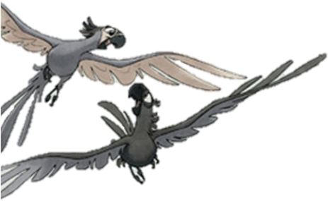 Download Blu And Jewel - Rio - Full Size PNG Image - PNGkit