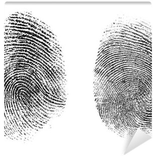 Download Fingerprint Or Thumbprint Set Isolated Wall Mural • - Thumb ...