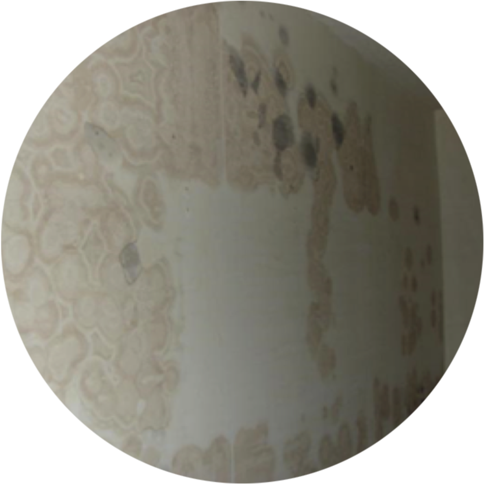 Download Ptac Wall Mold Picture@2x - Circle - Full Size PNG Image - PNGkit