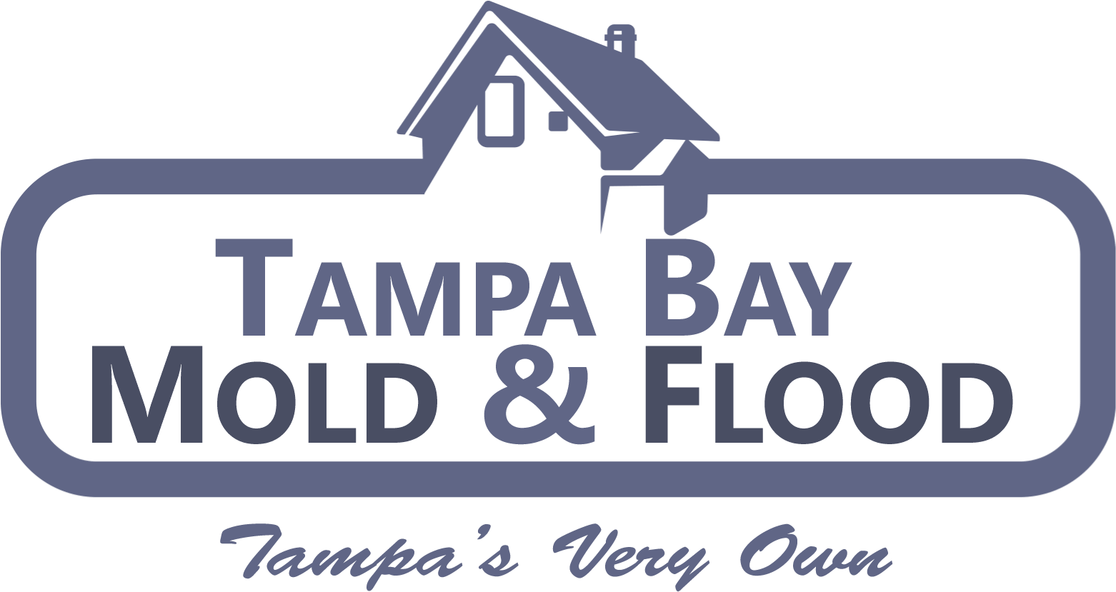Download Logo - Tampa - Full Size PNG Image - PNGkit