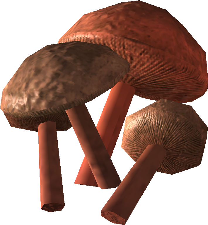 Download Transparent Cave Fungus - Fungi Transparent Background - PNGkit