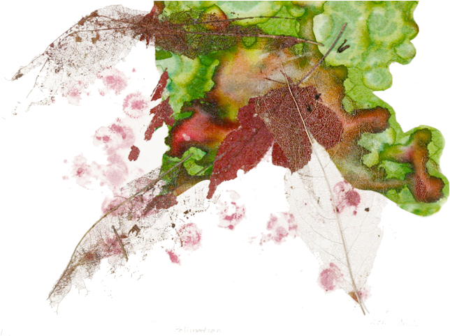 Download Transparent The Selections Within This Gallery Resulted From A ...