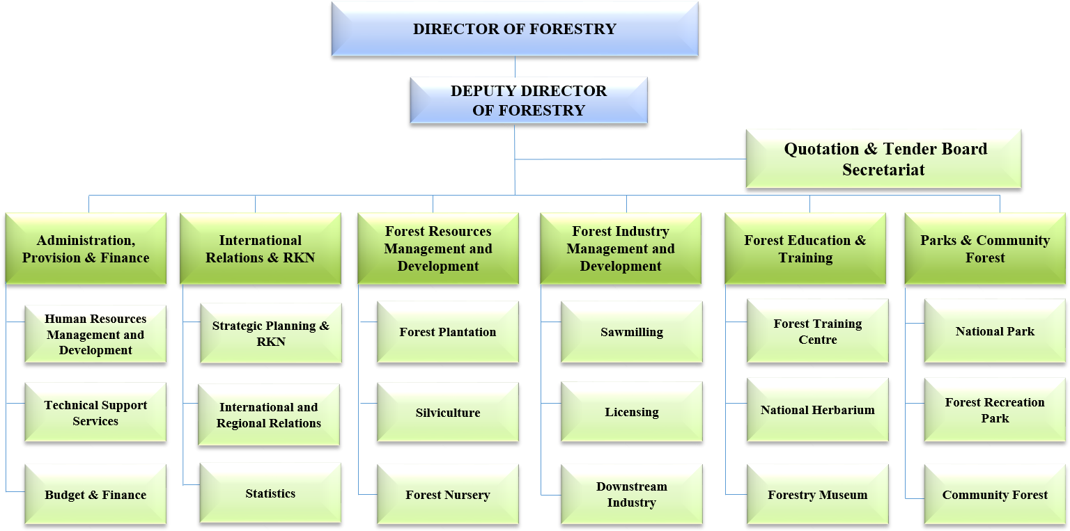 Download Organisational Structure - Full Size PNG Image - PNGkit