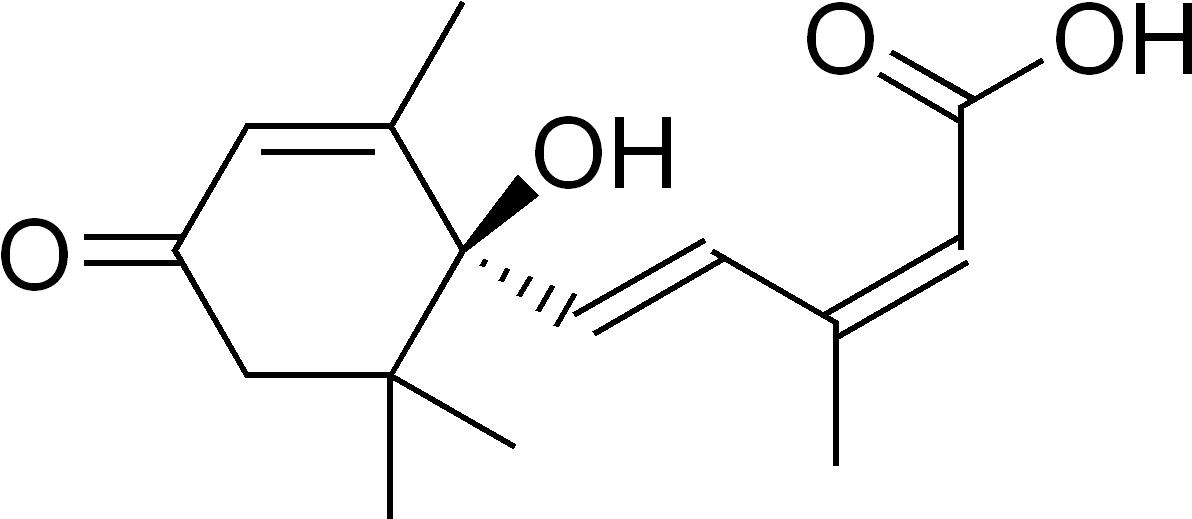Download Abscisic Acid - Abscisic Acid Chemical Structure - Full Size ...
