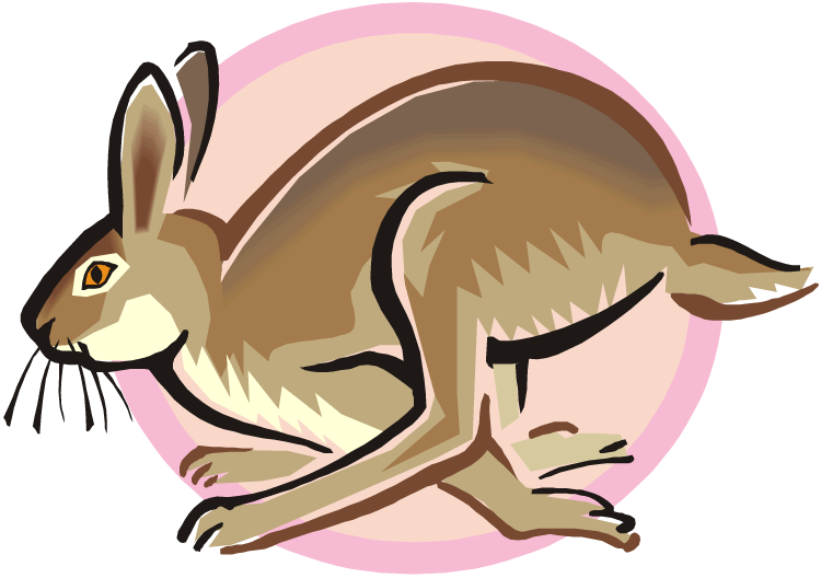Download Free Jack - Jack Rabbit Clip Art - Full Size PNG Image - PNGkit