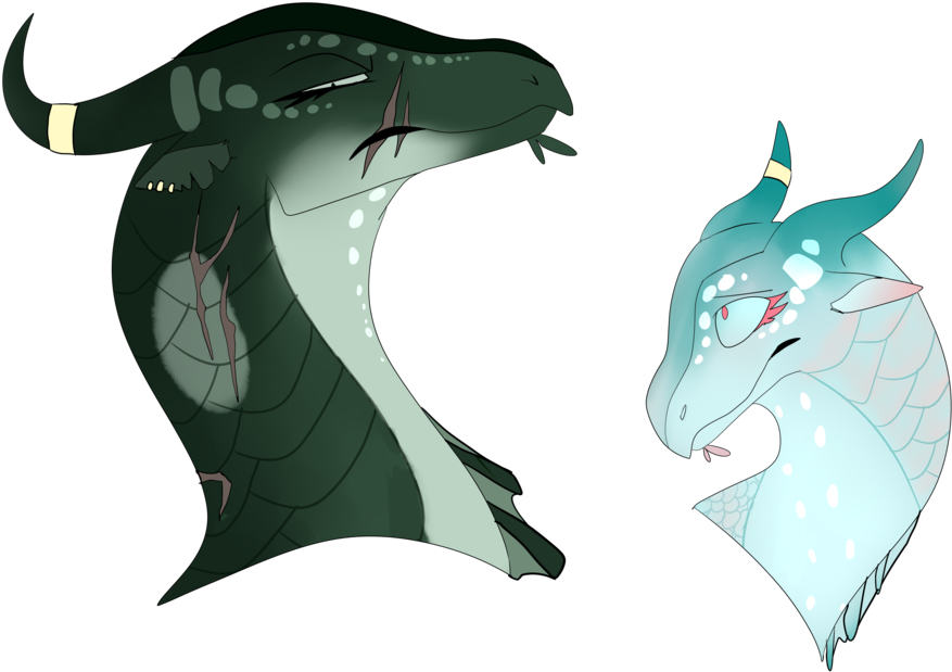 Download Orca And Anemone - Wof Anemone - Full Size PNG Image - PNGkit