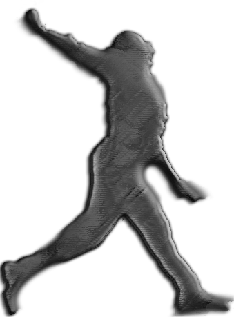 Download Bowling Shadow Figure - Cricket Bowling Images Png - Full Size ...