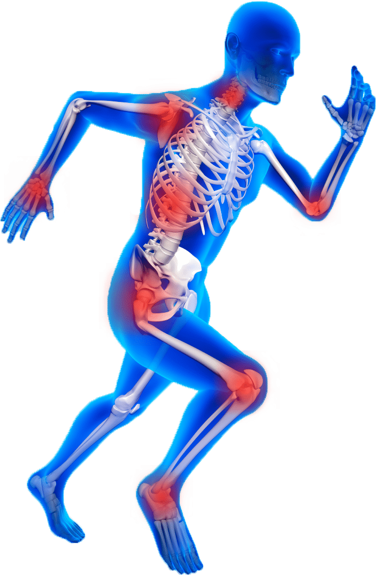 Download Physical Therapy - Full Size PNG Image - PNGkit